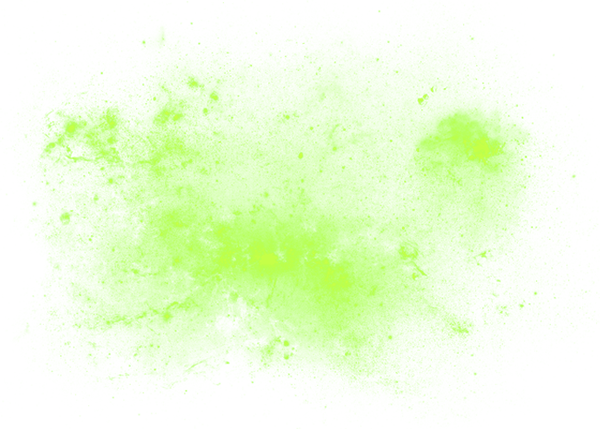 Congress Format – SIO 2024