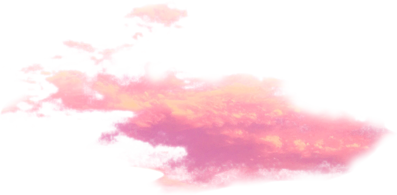 Congress Format – SIO 2024